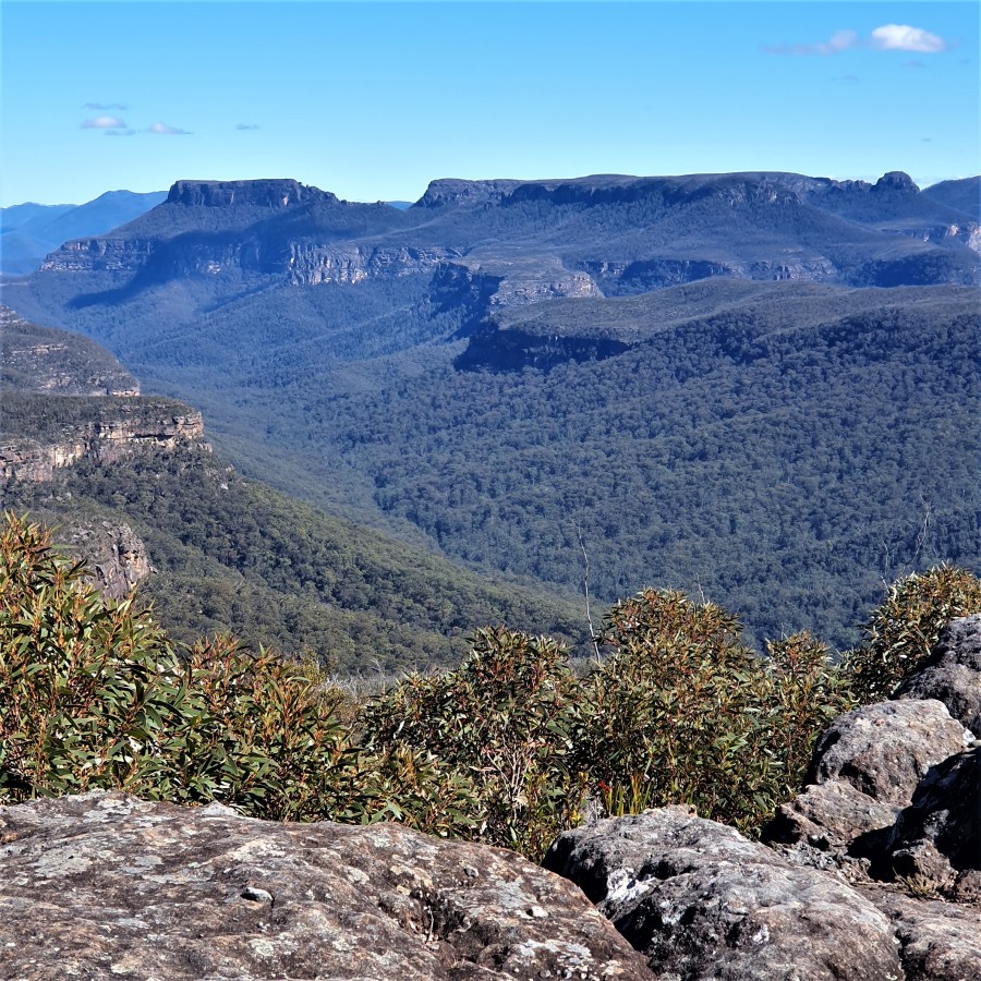 Mt Bushwalker - Budawangs walk, 20 August (6) - Illawarra Ramblers